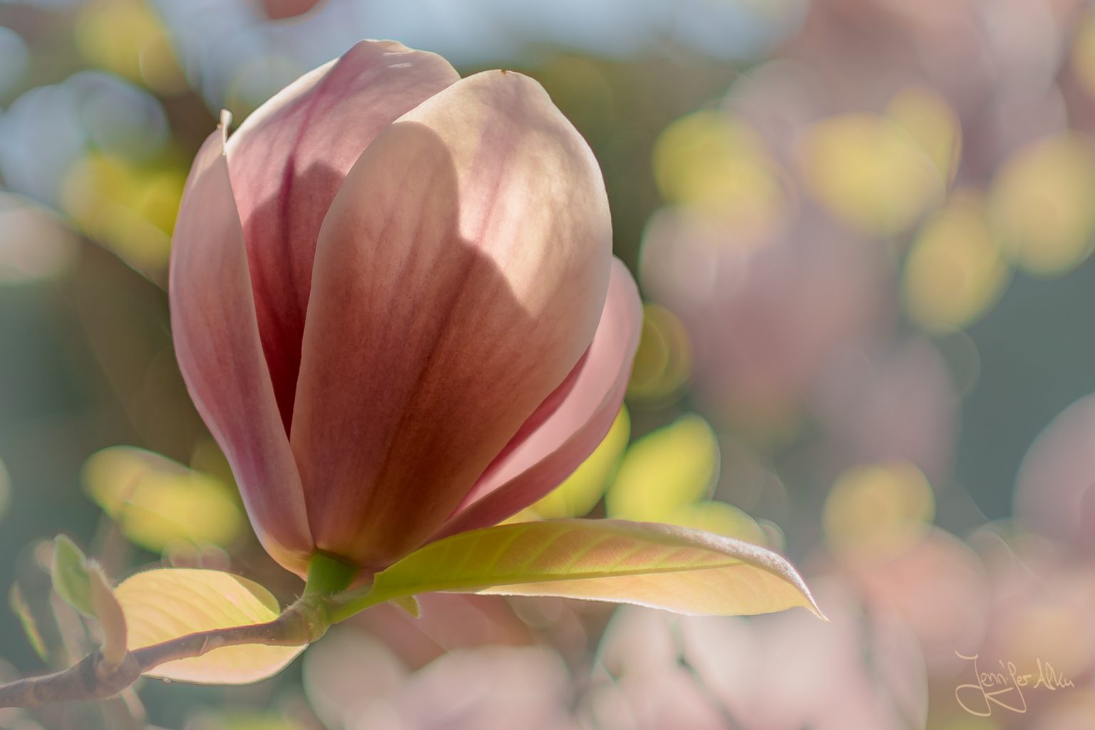 Erfahrungsbericht: Helios 58mm F2.0 - mit Swirly Bokeh - Reiseblog ...