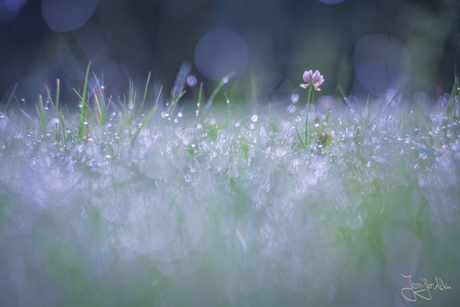 Erfahrungsbericht: Helios 58mm F2.0 - mit Swirly Bokeh - Reiseblog ...