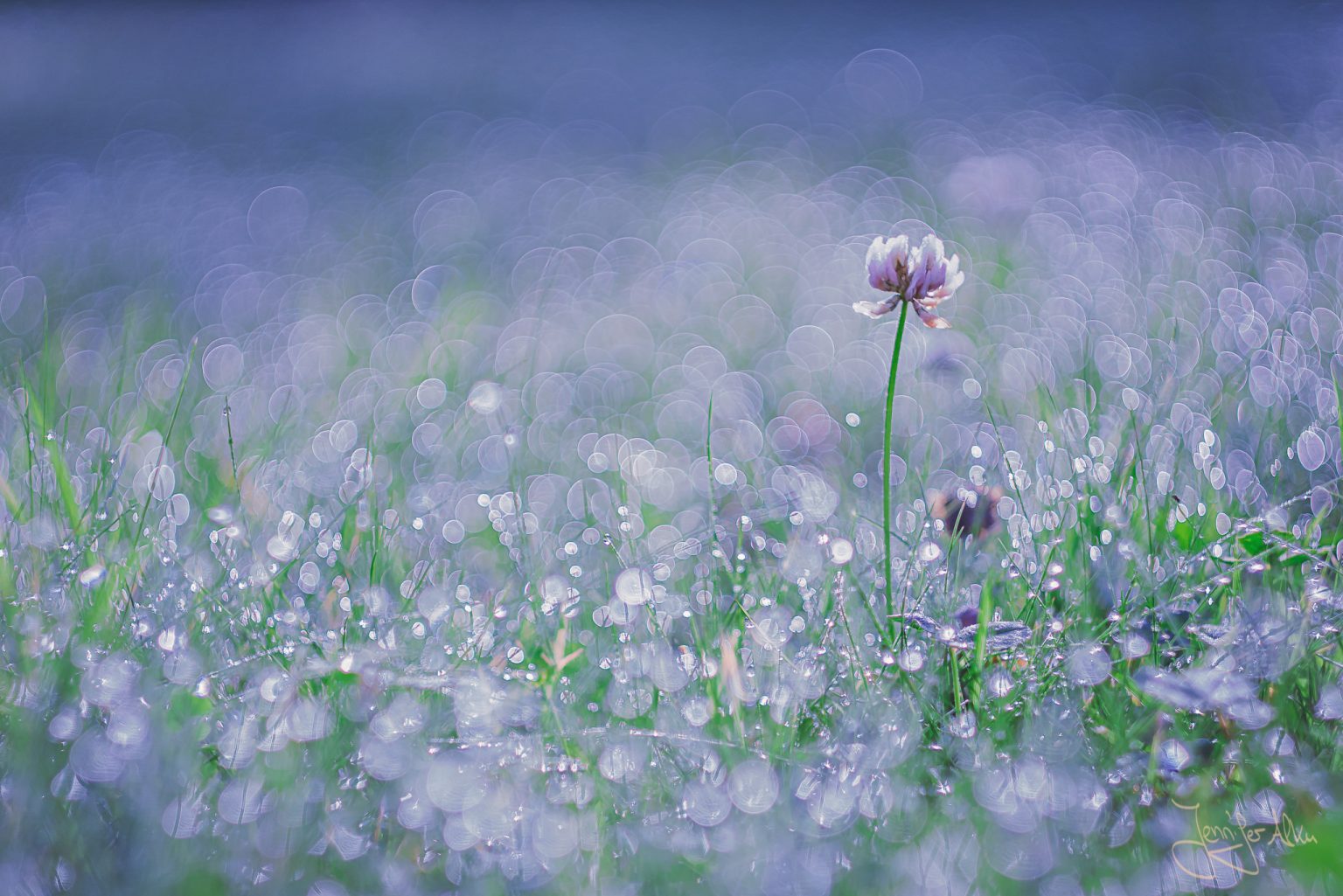 Erfahrungsbericht: Helios 58mm F2.0 - mit Swirly Bokeh - Reiseblog ...