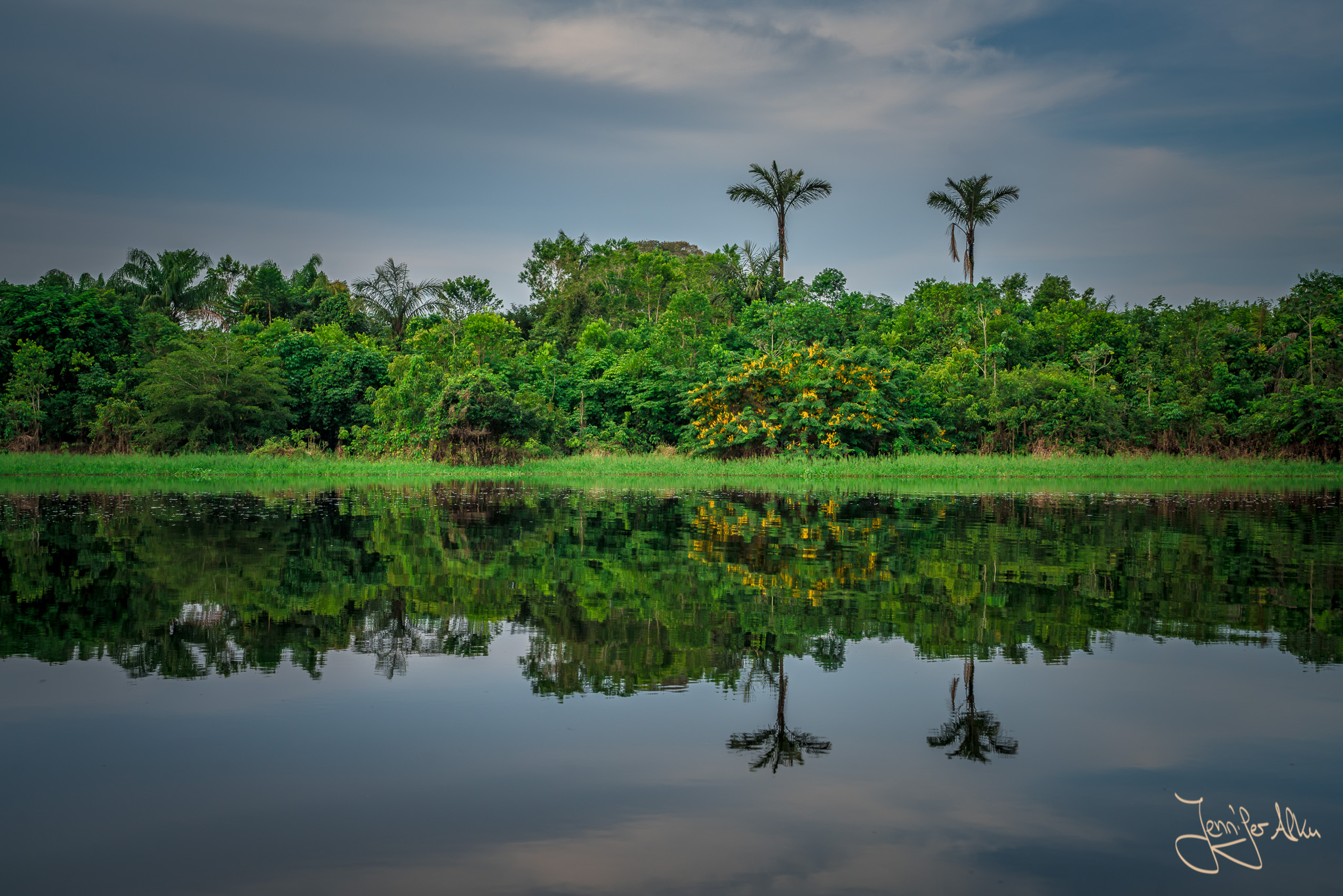 4 Tage im Amazonas Regenwald / Brasilien - Reiseblog Jennifer Alka ...